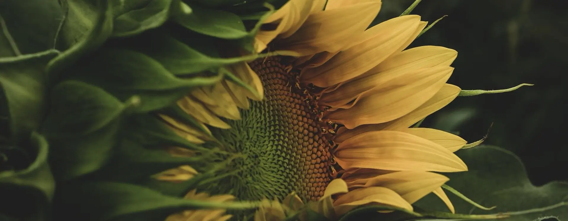 COP30 Weltklimakonferenz Brasilien, Bilanz 1,5-Grad-Ziel, Kipppunkte.